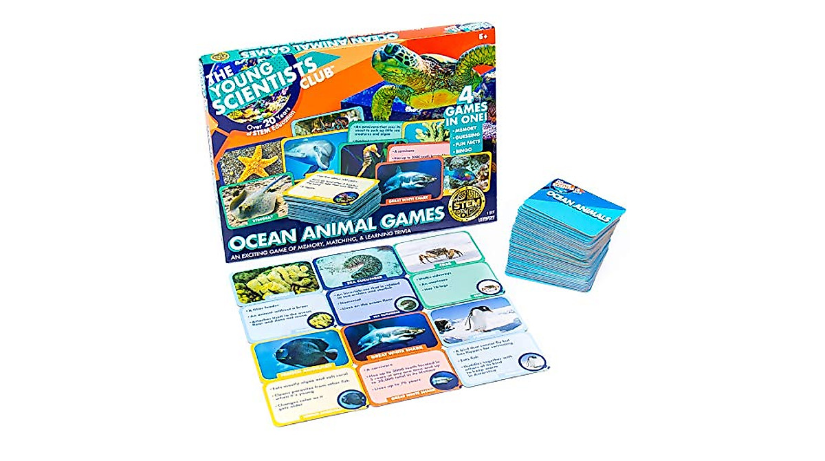The Young Scientist Ocean Animal Card Games - 4 in 1 Fun