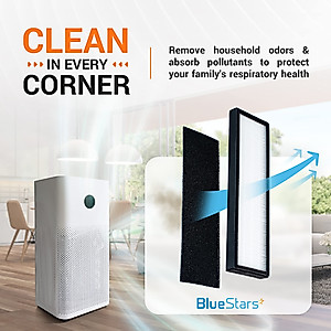 Ultra Durable FLT4825 True HEPA filter Replacement Filter B - Exact Fit for Germ-Guardian Air Purifier AC4300BPTCA, AC4900CA, AC4825, AC4825DLX (1 HEPA + 4 Activated Carbon Filters)