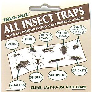 8 pk Economy All Insect Traps/Glue Boards/Window Strips. Fly, Bees, Wasps, Asian Beetles +