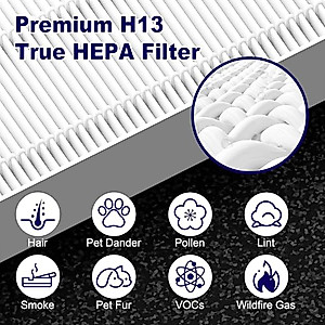 3 Pack 115115 HEPA Replacement Filter A Size 21 Compatible with Winix PlasmaWave C535 5300 5300-2 5500 5500-2 6300 6300-2 P300 AM90 9000 5000 5000B C909 9800 Air Purifier by PETOX