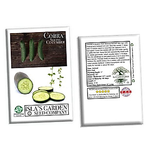 "Cobra" Cucumber Seeds for Planting, 25+ Seeds Per Packet, (Isla's Garden Seeds), Non GMO Seeds, Botanical Name: Cucumis sativus, Great Home Garden Gift