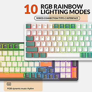 Ajazz K3 TKL Gaming Mechanical Keyboard-Wired Compact 10 Chroma RGB Backlit Computer Keyboard with Number Pad,98 Keys PC Gaming Keyboards with Clicky Blue Switch for Gamers/Mac/Win