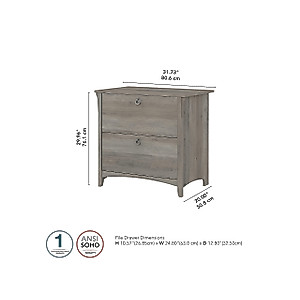 Bush Furniture Salinas Lateral 2 Cabinet Filing Drawer | Home Office Storage Organizer, Driftwood Gray