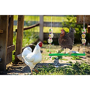 IOUH Green Swing Chicken Toy Chicken Swing Chicken Bird Xylophone Toy and Chicken Veggies Skewer Fruit Holder - Bird Chicken Feed Toys Chicken Stand Toy for Hens Bird Parrot Training Chicken coop 3PCS