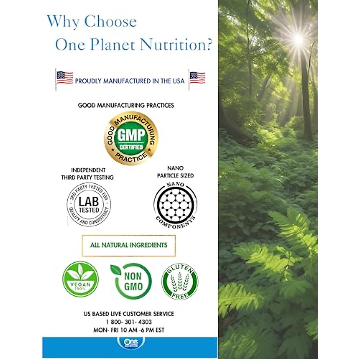 One Planet Nutrition Nano Ginkgo biloba 250 mg Veggie Capsules (120 Servings), Ginkgo biloba Extract, Nano for Higher Absorption, Improves Cognitive Function & Circulation, Non-GMO, Vegan, Gluten Free