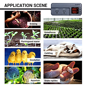 Inkbird ITC-608T Temperature and Humidity Controller 1800W ETL Listed AC Dual Stage Outlet Thermostat with Temperature and Humidity Sensor Mushroom Greenhouse Reptile
