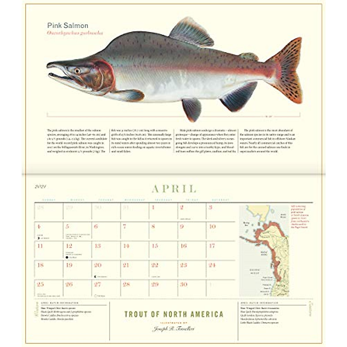 Trout of North America Wall Calendar 2021