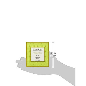 Caldrea Scented Candle, Made with Essential Oils and Other Thoughtfully Chosen Ingredients, 45 Hour Burn Time, Ginger Pomelo Scent, 8.1 oz
