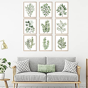 Tevxj 9PCS Botanical Plant Wall Art Prints Green Plant Wall Decor Boho Herb Wall Decor Pictures Minimalist Wall Art Photo Prints for Living Room Kitchen Leaves (8"x10", Unframed)