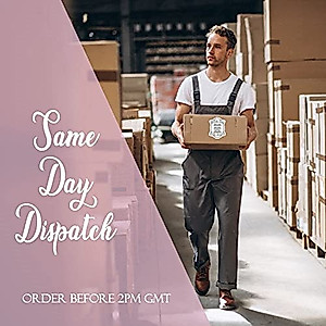 Reutters of Germany Dollhouse Brown Bird Cage with Bird Miniature Liter Bird Cage Pet Accessories