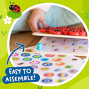 Nene Toys Ladybug Memory Game - Wooden Matching Game for Kids Age 3-5 with 10 Patterns - Educational Family Board Game