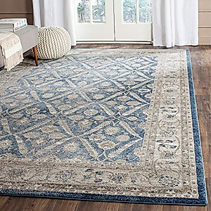 SAFAVIEH Sofia Collection 9' x 12' Blue / Beige SOF378C Vintage Oriental Distressed Non-Shedding Living Room Bedroom Dining Home Office Area Rug