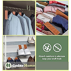 Cedar Hyde Cedar Blocks for Clothes Storage | Cedar Hang Ups & Cedar Balls | Clothes Protection & Deodorizer | 22 Pieces, 12 Cedar Hang Ups & Bonus 10 Cedar Balls | U.S.A Seller