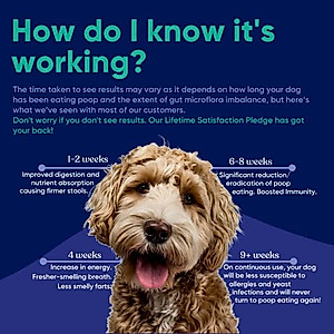 Vetrinex Labs Probiotic - Coprophagia Treatment for Dogs - Stop and Prevent Dog from Eating Poop - No Stool Eating, Deterrent and Prevention - Probiotics Powder for Cats, Dogs & Puppies