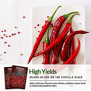 Survival Garden Seeds - Red Cayenne Pepper Seed for Planting - Packet with Instructions to Plant and Grow Hot Chili Peppers in Your Home Vegetable Garden - Non-GMO Heirloom Variety - Single Pack