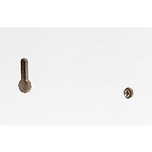 Kiera Grace Kian Wall Shelf with 5 Pegs