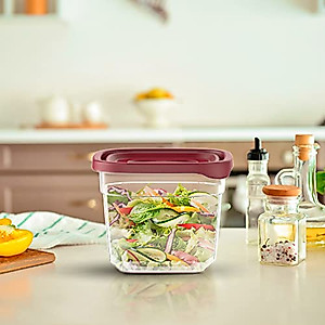 Plasvale Food Storage Containers with Lids, Freezer, Microwave and Dishwasher Safe - BPA Free - 17.92 oz (8-Pieces Set, White, Model 2)