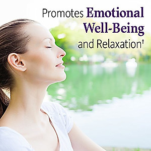 Garden of Life Dr. Formulated Probiotics Mood+ Acidophilus Probiotic Supplement - Promotes Emotional Well-Being, Relaxation and Digestive Balance - Ashwagandha for Stress Management, 60 Veggie Caps