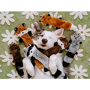 ZippyPaws Skinny Peltz - Fox, Raccoon, & Squirrel - No Stuffing Squeaky Dog Toys, Unstuffed Chew Toy for Small & Medium Breeds, Bulk Multi-Pack of 3 Soft Plush Toys, Flat No Stuffing Puppy Toys - 11"