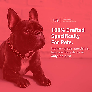 International Veterinary Sciences IVS Lipiderm Gel Cap Skin and Coat Fish Oil Omega 3 and 6 Dietary Supplement for Small/Medium Dogs, Made in the USA, 60 Count