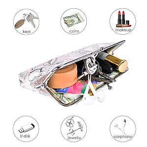 Oyachic 2 Packs Large Coin Purses Floral Cash Case Vintage Change Pouch Kiss Lock Cellphone bag Handbag ID Card Holder Canvas Clutch