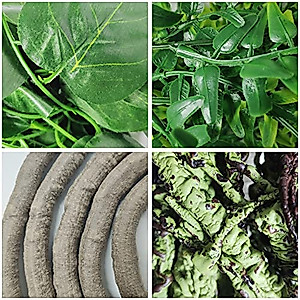 Fhiny 4 PCS Reptile Vines Plants Bendable Flexible Jungle Climbing Vines Plastic Leaves with Suction Cups Tank Accessories Habitat Decor for Bearded Dragons Lizards Snakes Geckos Frogs