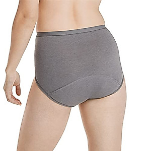 Hanes Women's Fresh & Dry Light and Moderate Period 3-Pack Brief Underwear, Multiple Options Available, Beige,Gray and Black, 9
