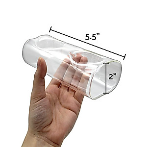 NW Wholesaler - Live Tillandsia Air Plants with Tea Light Glass Display and Sea Shells Decoration - Tillandsia Air Plants with GlassVase Holder for Home Décor, Office, and Home Garden