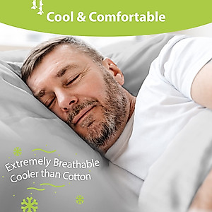 BAMPURE Luxury Series Queen Sheet Set - 100% Pure Viscose derived from Bamboo Sheets Queen Size - Super Soft Queen Cooling Sheets for Hot Sleepers - Up to 16’’ Deep Pocket Queen Sheets (L Grey)