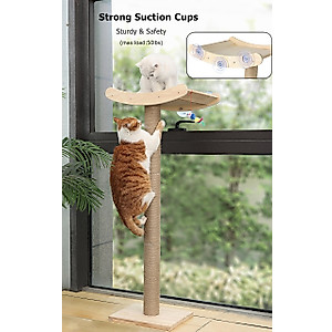 Window Cat Perch with Scratching Posts, 46" Wood Tree Bed for Large Inside Cats Climbing, Perching and Lounging, Mounted with 3 Strong Suction Cups (Wood Platform)
