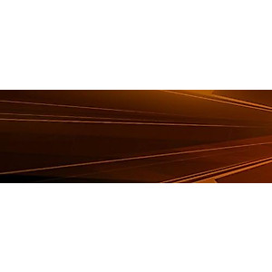 FIFA Soccer 2006 - PlayStation 2