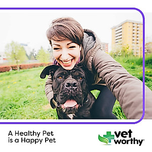 Vet Worthy Chewable Toothpaste - Dog Teeth Cleaning Chews with Propolis & Zeolites - Toothpaste for Dogs - Dog Tartar Remover for Teeth & Dog Chews for Cleaning Teeth - 60ct (Chicken Liver)