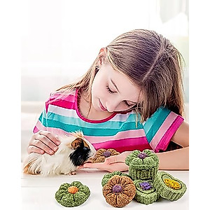 Sofier 14Pcs Timothy Hay Treats Rabbit Toys Bunny Toys Guinea Pig Toys Natural Chews for Teeth Handmade Rabbit Chews and Treats Chinchilla Rat Hamster Gerbil