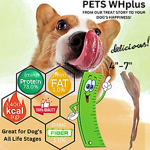 PETS WHplus Beef Tendon Sticks for Dogs,100% Natural Dog Treats, 4 oz (113g) Pack, Chews for Dogs, Mixed Lenght Varies 4-7 inches, Grass -Feed Beef-Dental Dog Chews, High in Protein & Collagen.