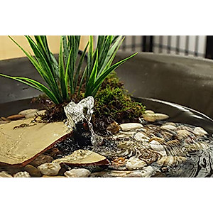 Beckett Corporation CGFK60 Submersible Pump and Container Kit Ideal for Mini Fountains, Water Gardens, and Bird Baths, Black