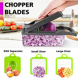 Vegetable Chopper, Pro Onion Chopper, Multifunctional 13 in 1 Food Chopper, Kitchen Vegetable Slicer Dicer Cutter,Veggie Chopper With 8 Blades,Carrot and Garlic Chopper With Container