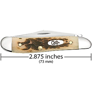 Case XX WR Pocket Knife Amber Bone Peanut Item #045 - (6220 SS) - Length Closed: 2 7/8 Inches