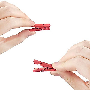 (Pack of 128) Mini Wooden Colored clothespins,16 coloers Each 8pcs