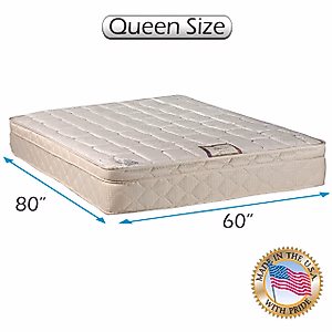 Dream Solutions USA DS Solutions USA Medium Soft Innerspring Mattress Only with Mattress Cover Protector - Good for Your Back, Fully Assembled, Orthopedic (Queen 60"x80"x10")