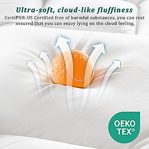 FLEXPEDIC Mattress Topper Queen,Extra Soft Pillow Top Mattress Topper for Firm Bed,Cooling Cloud-Like 1200GSM Down Alternative Filled,4 Anchor Elastic Bands,60 * 80 Inches,White