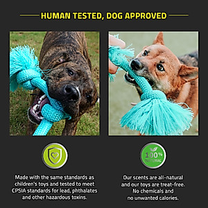 Playology Dri Tech Rope Dog Chew Toy - for Medium Dogs (15-35lbs) Peanut Butter Scented Dog Toys for Heavy Chewers - Engaging, All-Natural, Interactive and Non-Toxic