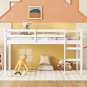 ANDORON Low Loft Bed Twin Size, Kids Solid Wood Modern Loft Bed Frame with Ladder and Safety Guardrail for Girls Boys, Noise-Free, Non-Toxic Finishes, Space-Saving, No Box Spring Needed (White, Twin)