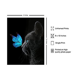 Cat Wall Decor - Butterfly Wall Decor - Blue Butterfly - Black Cat - Cat Gifts for Women - Cute Cat Poster - Cat Posters for Girls Bedroom - Cat Lover Gifts - Cat Wall Art - Butterfly Wall Art