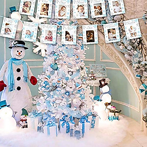 Winter Onederland Birthday Decorations Snowflake First Birthday Photo Banner - Milestone, Monthly Newborn to 12 Months Banner Clips for Snowflake Themed 1st Birthday Party Decorations