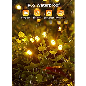 2-Pack 480LED 170FT Total Solar Outdoor Lights IP65 Waterproof Solar Powered Lights with 8 Lighting Modes for Party Garden Yard Home Holiday Tree Decoration Lighting, Warm White
