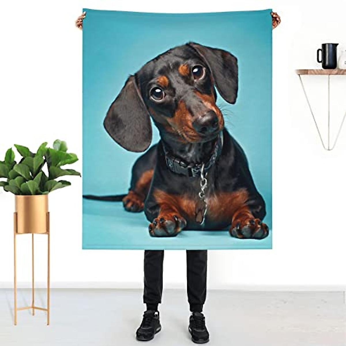 DOINBEE Dachshund Dog Blanket Dachshund Gifts Cute Black Dog Animal on Blue Throw Blankets for Men Women Fluffy Fleece Flannel Soft Cozy Sofa Chair Bed Couch Blanket Decor Travel Quilts 60"x50"