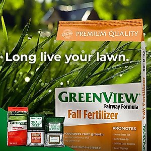 Greenview Fairway Formula Fall Lawn Fertilizer - 22.5 lb. Bag - Covers 7,500 Sq. Ft.