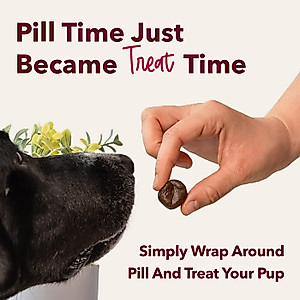 iHeartDogs Probiotic Pill Paste Wrap for Dogs – 4 oz Chicken & Bacon Flavored Pill Masker for Picky Dogs - Hide Medication in This Tasty Hide-A-Pill Dough