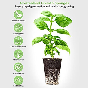 moistenland 50-Pack Compatible Seed Pod Sponges, Seed Starter Sponge Pods Replacements, Root Growth Sponge Plugs for Hydroponic Indoor Garden kit Seed Starting (Seeds Not Included) (50)