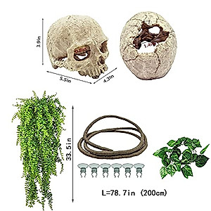 Tfwadmx Reptiles Skull Hide Decorations Bearded Dragon Tank Accessories Terrarium Ornament Gecko Hideouts Cave Snake Habitat Jungle Climber Bendable Vines Leaves for Lizards,Chameleon,Spider (4 Pcs)